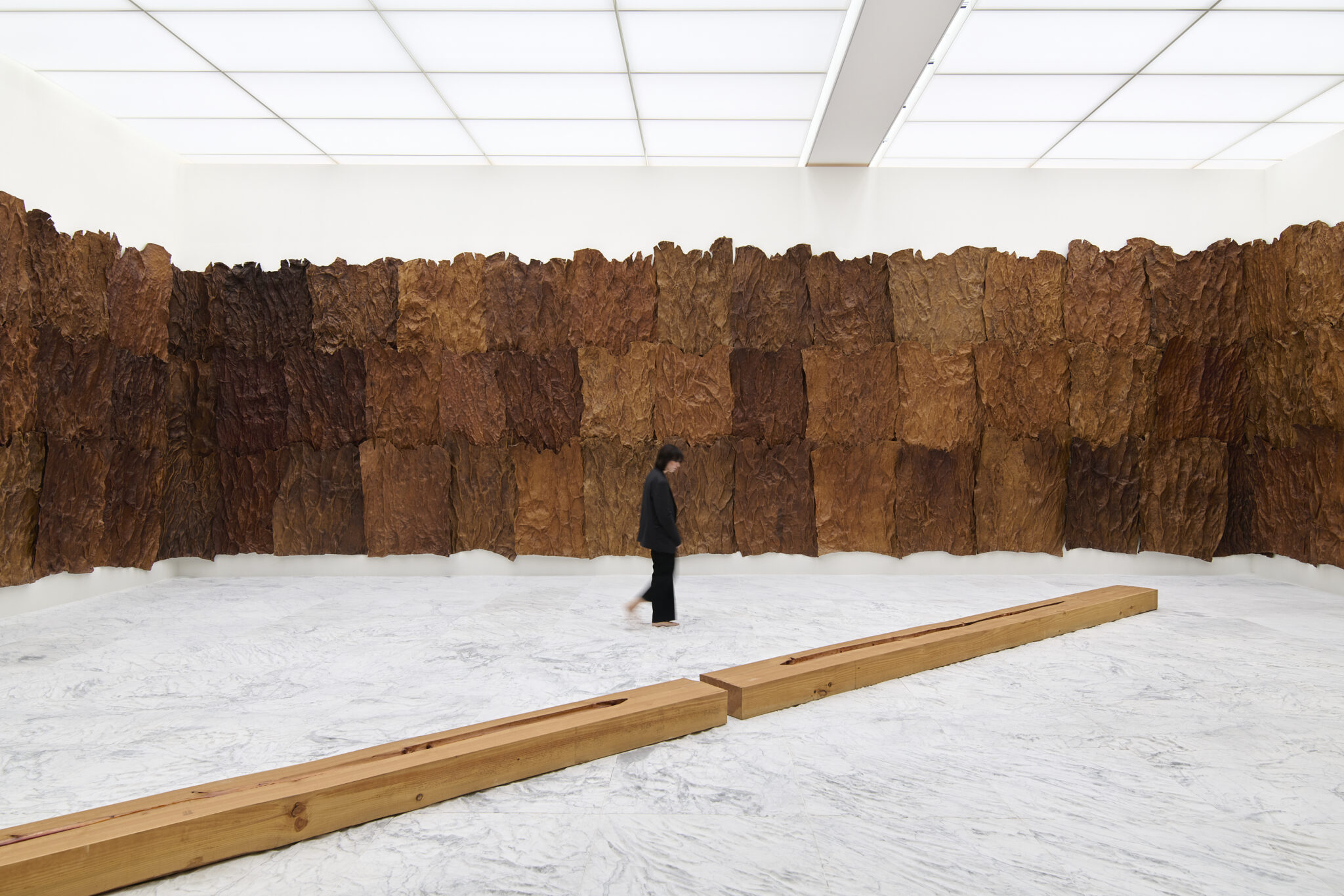 Giuseppe Penone – De Witte Raaf